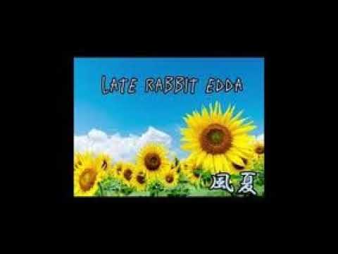 late rabbit edda 風夏 - MAG.MOE