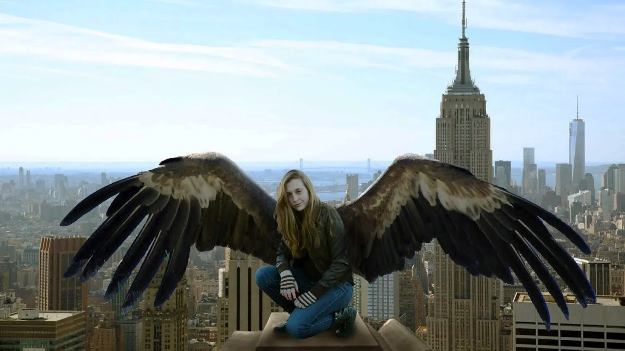 Half Human-Bird Superheroes Created to Save The World, But They Don't ...