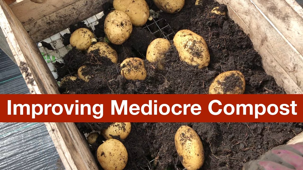 Improving Mediocre Compost - Part 1 of the Potato Grow Bag Trials - MAG.MOE