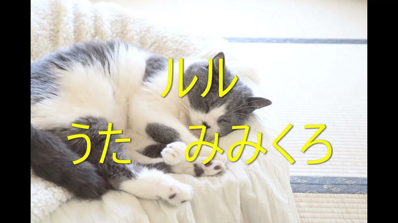 【アニソン】ルル/やくしまるえつこ『電波女と青春男』ED【歌ってみた】 - MAG.MOE