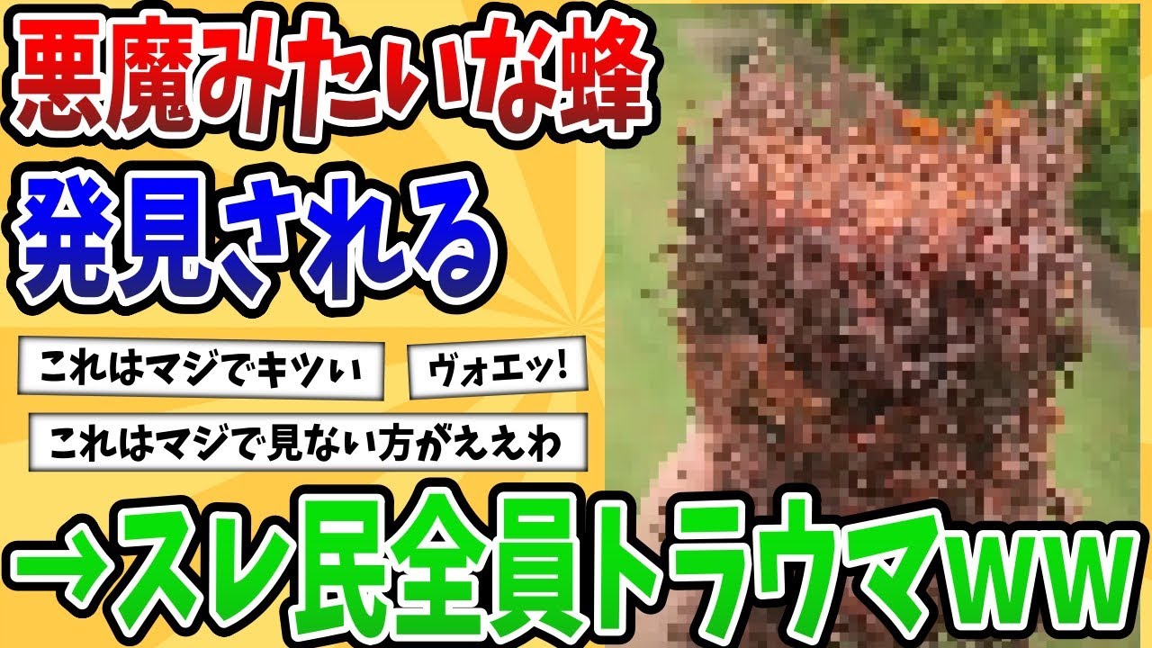 【2ch動物スレ】悪魔みたいな蜂発見される→スレ民全員トラウマww - MAG.MOE