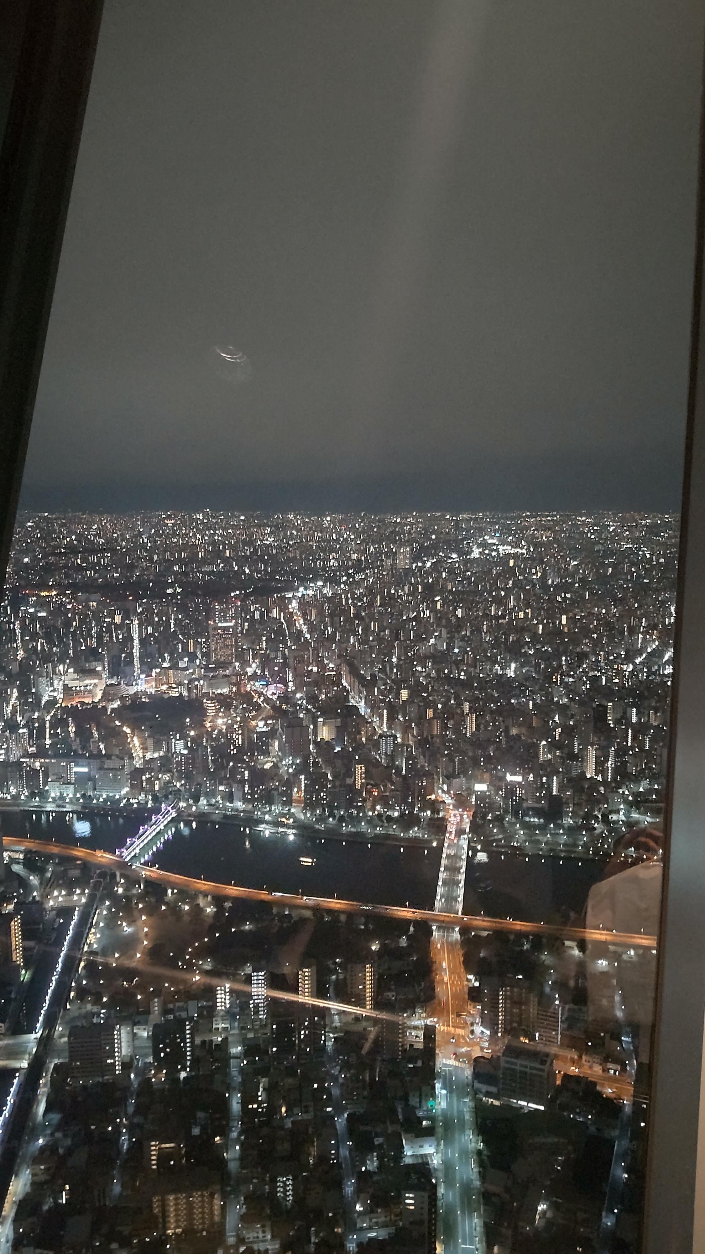 日曜のドトール - MAG.MOE