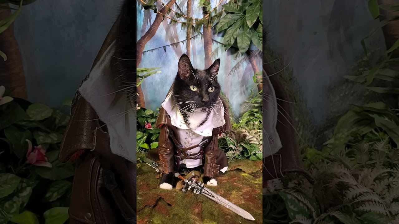 😾⚔️@cat_cosplay_inc #ファイナルファンタジーXIV #FFXIV #FF14 - MAG.MOE