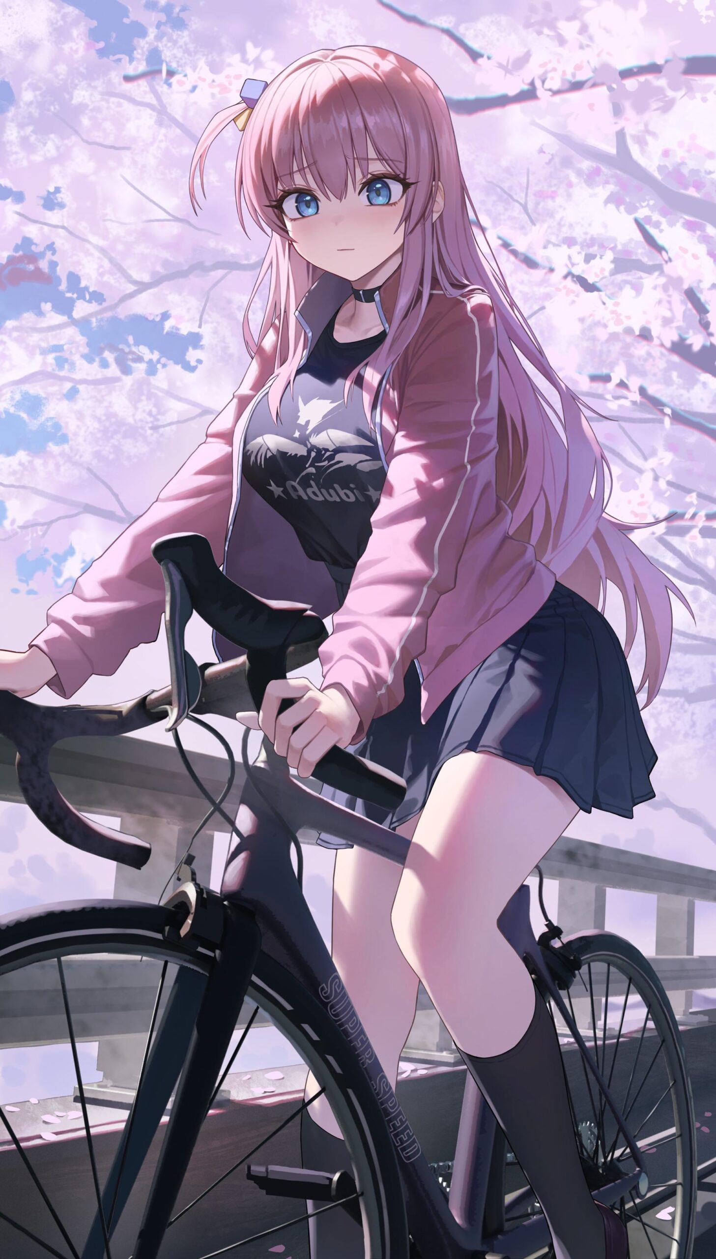 Bocchi riding her Bike [Bocchi the Rock] [1848x3248] - MAG.MOE